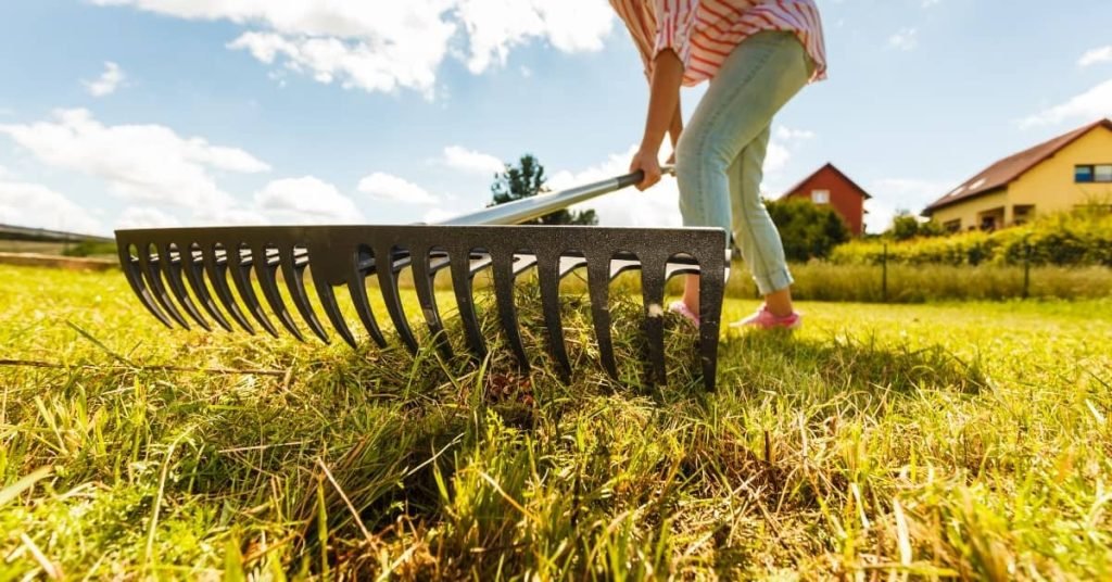 Lawn Care | Lawn Garden Tips