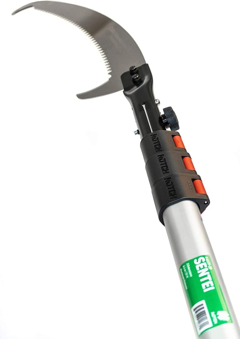 6 best pole saw for palm trees perfect trimming - Lawn Gardeners