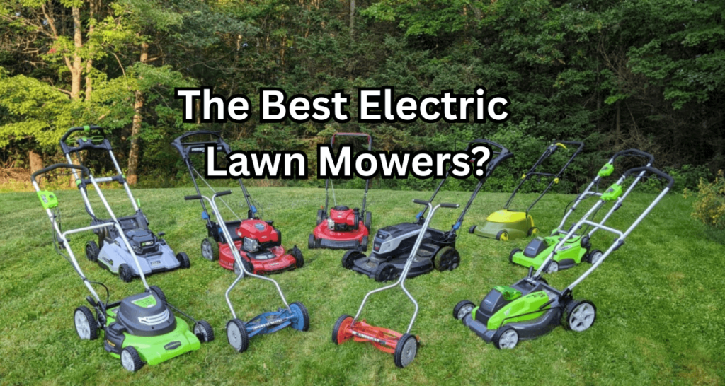 7 Best Acorn Picker Upper To Clean Yard Easily